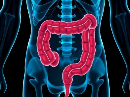 Anatomía del apéndice: estructura y función